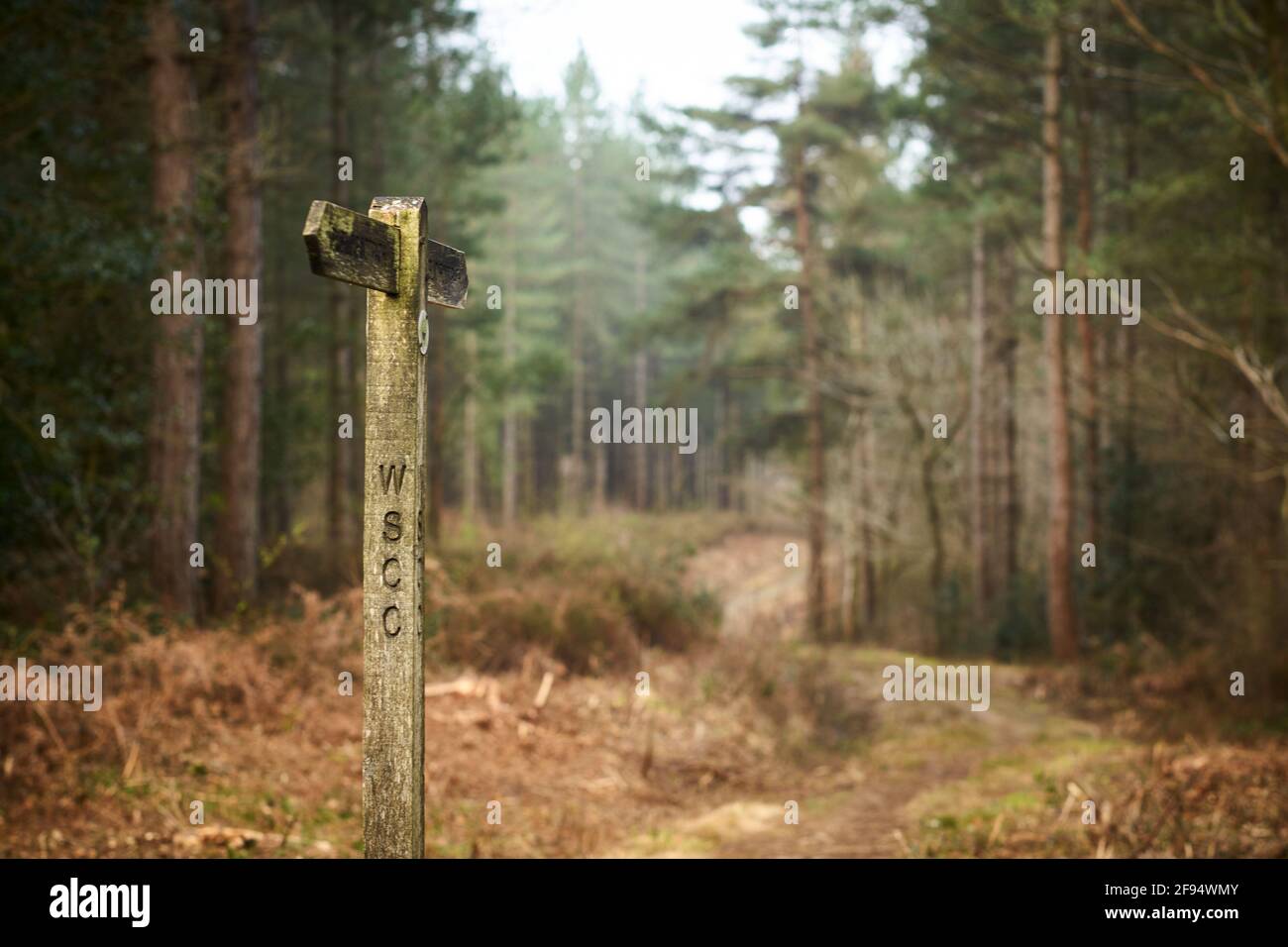 Country walk footpath signs in a Sussex forest Stock Photo - Alamy