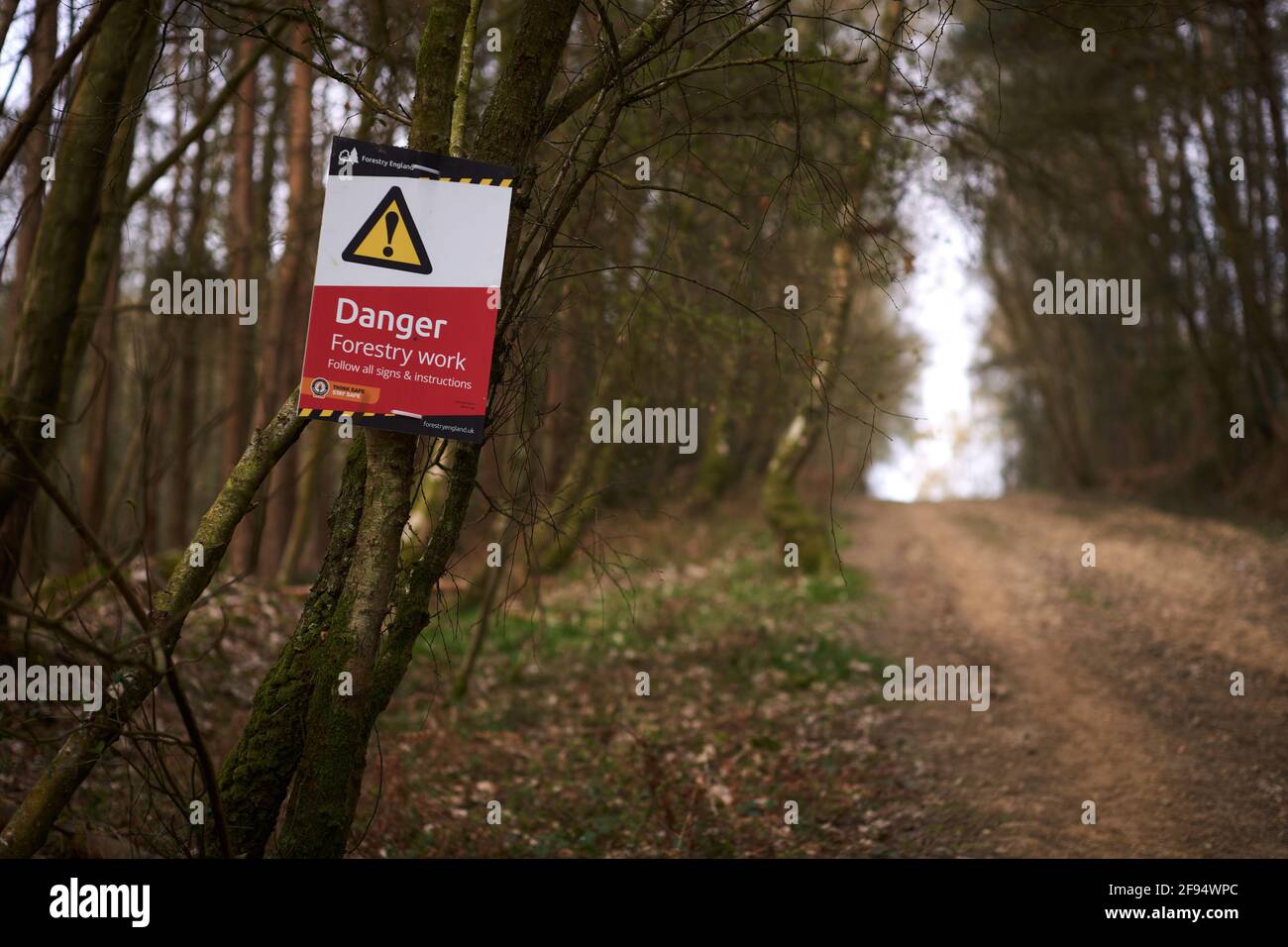 Forestry work warning signs Stock Photo - Alamy