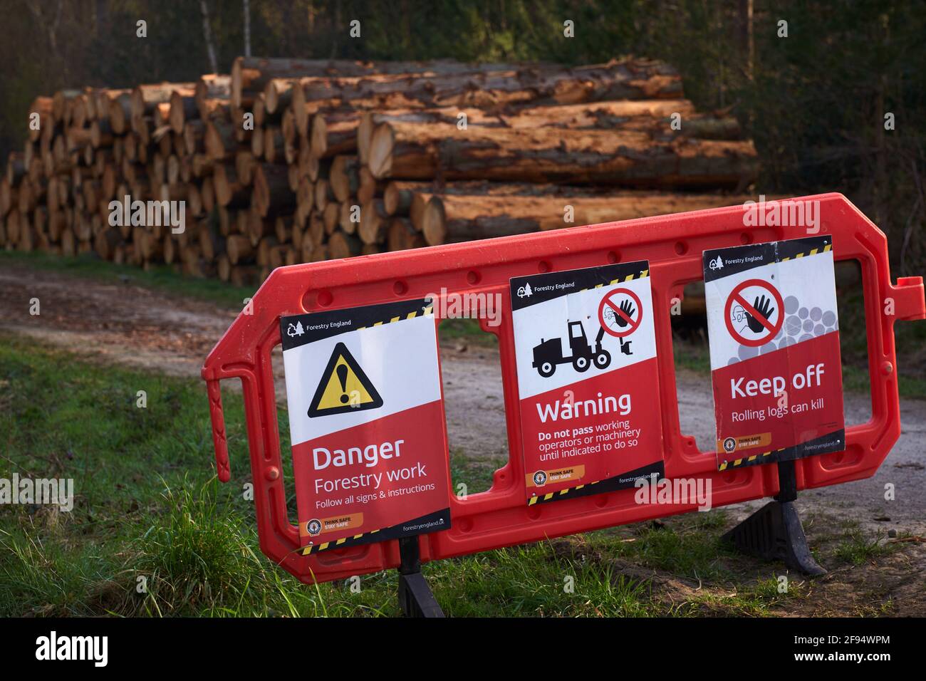 Log logging logging forest hi-res stock photography and images - Alamy