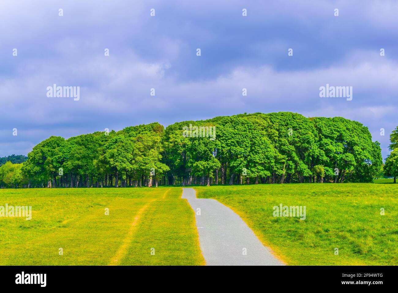 Phoenix park in Dublin, Ireland Stock Photo - Alamy