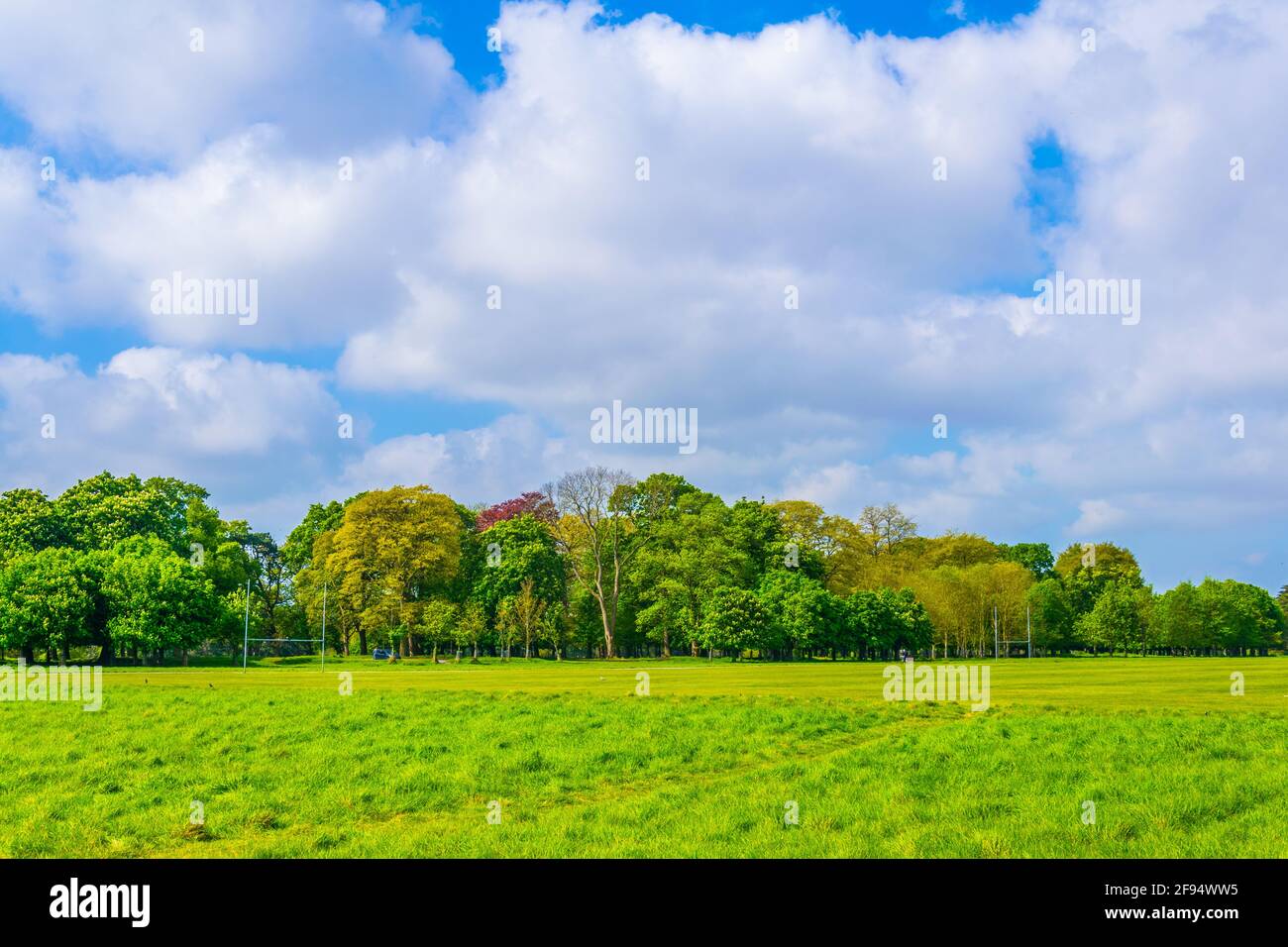 Phoenix park in Dublin, Ireland Stock Photo - Alamy