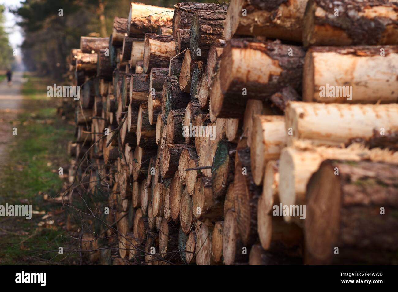 Log stacks hi-res stock photography and images - Alamy