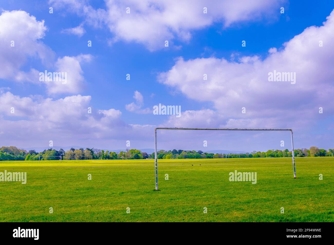 Phoenix park in Dublin, Ireland Stock Photo - Alamy