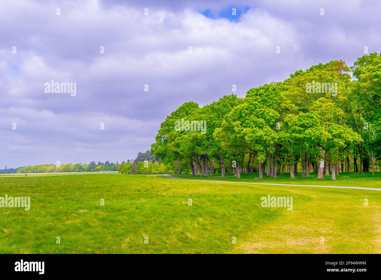 Phoenix park in Dublin, Ireland Stock Photo - Alamy