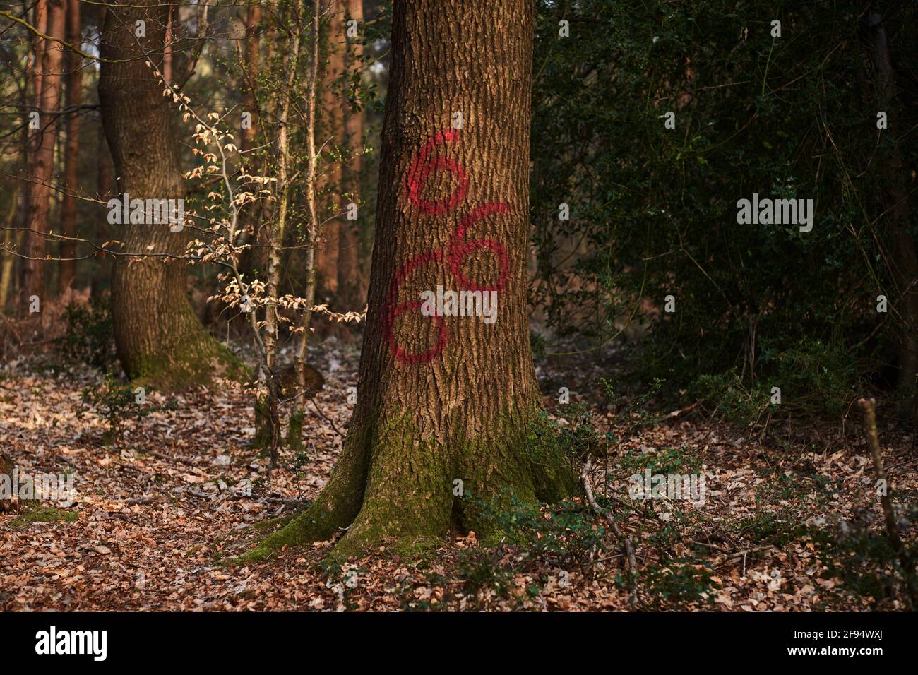 Devil worship hi-res stock photography and images - Alamy