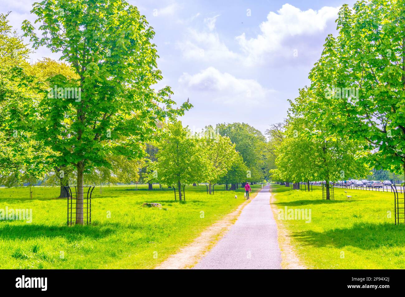 Phoenix park in Dublin, Ireland Stock Photo - Alamy