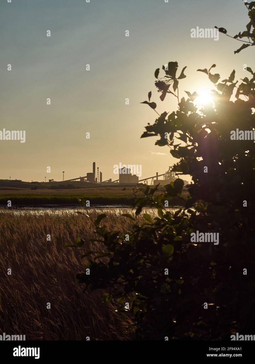 Marsh marshland rushes hi-res stock photography and images - Alamy