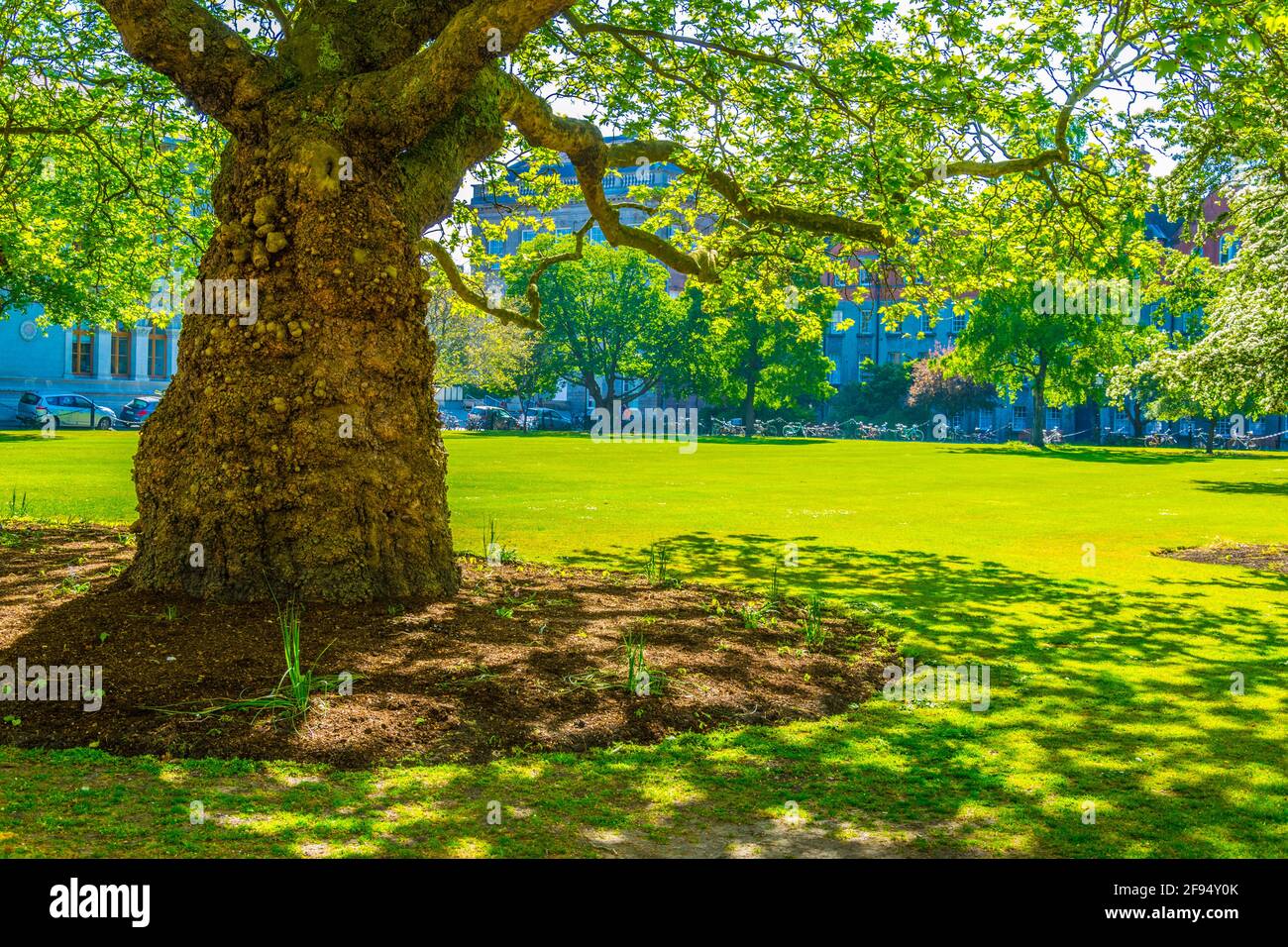 Bell tower courtyard trinity college hi-res stock photography and ...