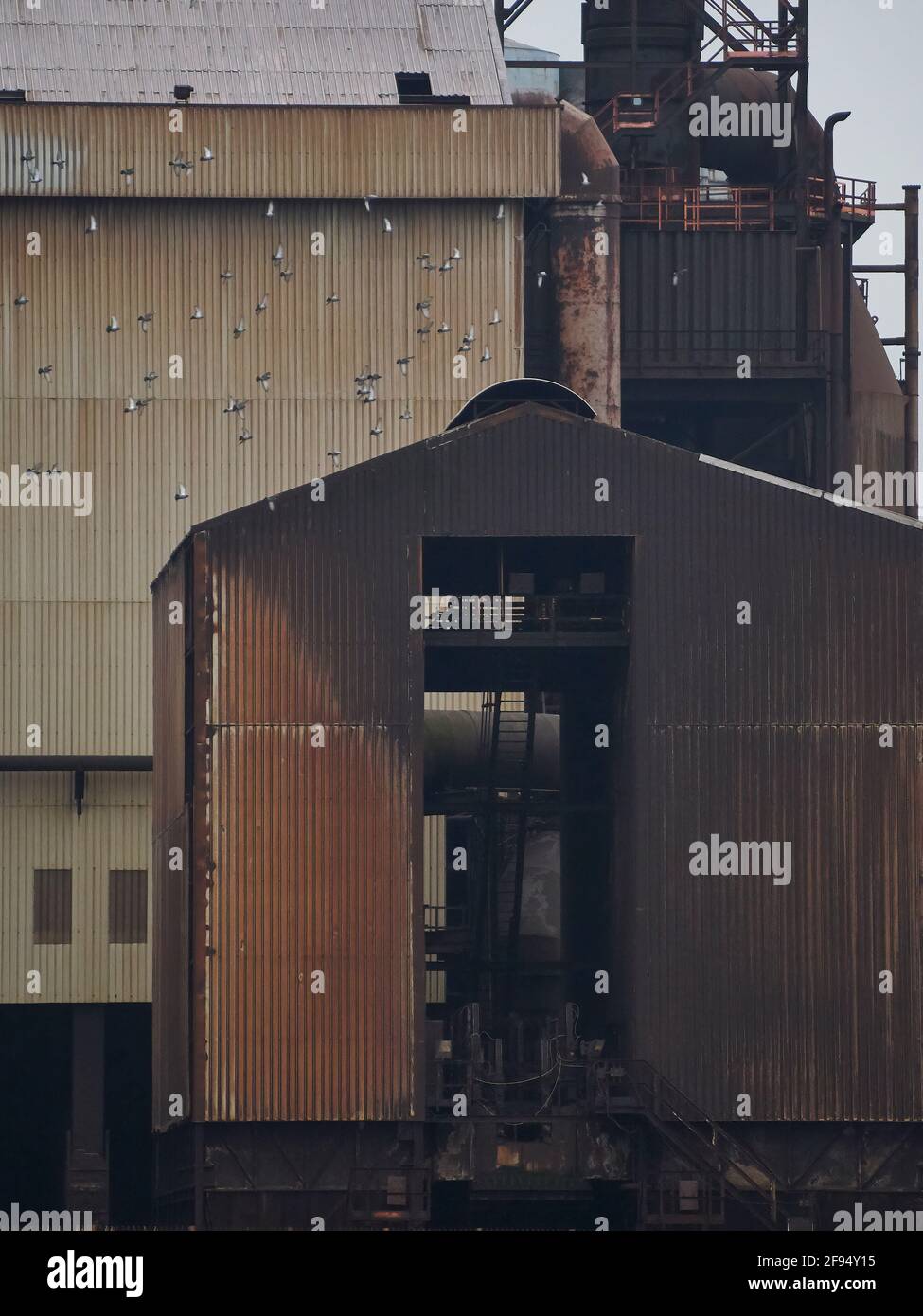 A detail from the abandoned Redcar Steelworks complex, a flock of ...