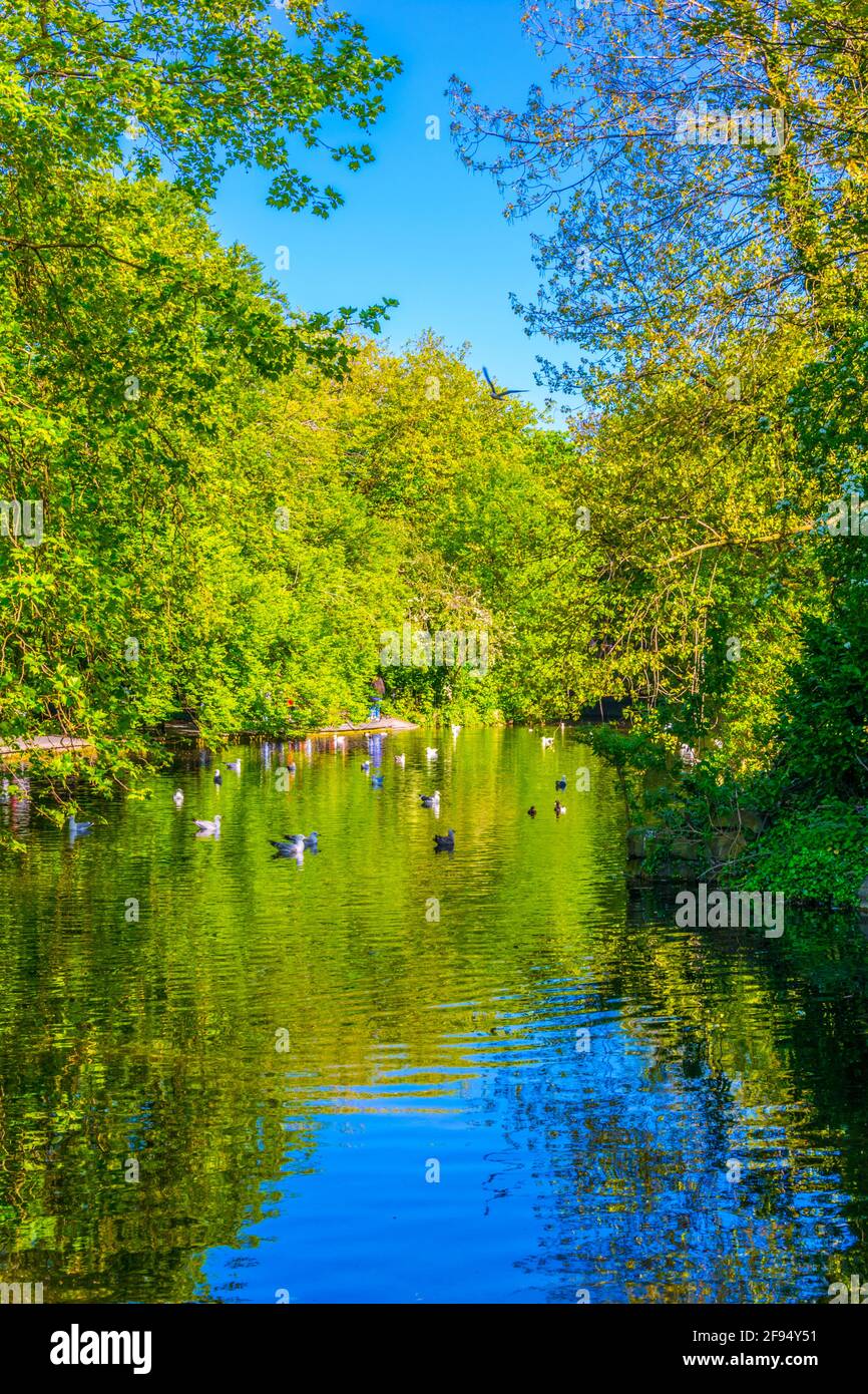 View of a small pond in the Saint Stephen's Green park in Dublin ...