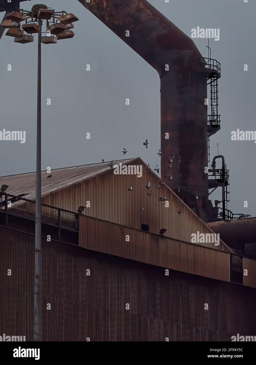 A detail from the abandoned Redcar Steelworks complex, a flock of ...
