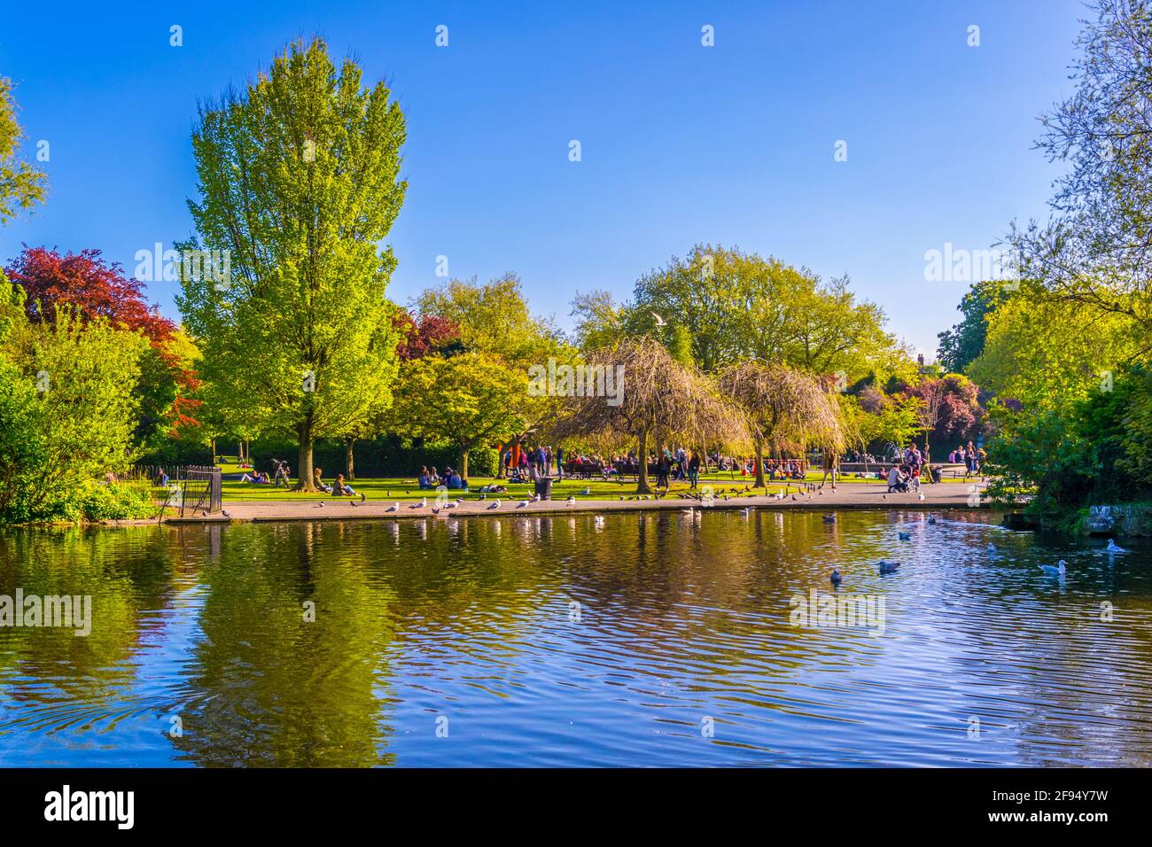 View of a small pond in the Saint Stephen's Green park in Dublin ...