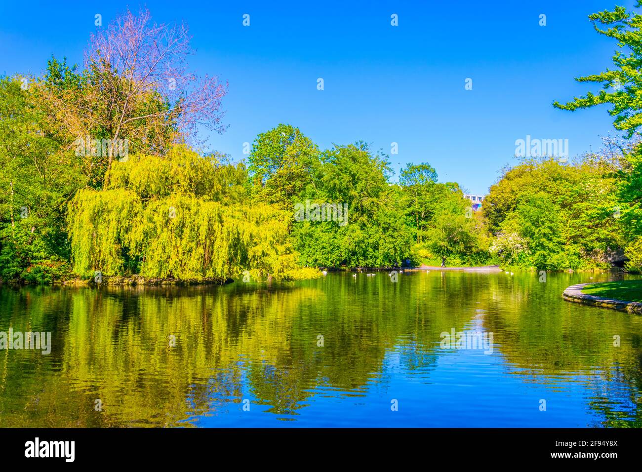View of a small pond in the Saint Stephen's Green park in Dublin ...