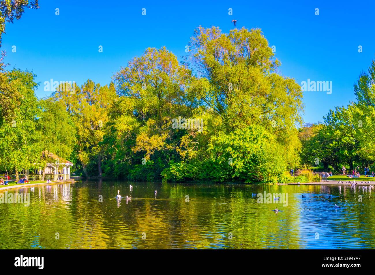 View of a small pond in the Saint Stephen's Green park in Dublin ...