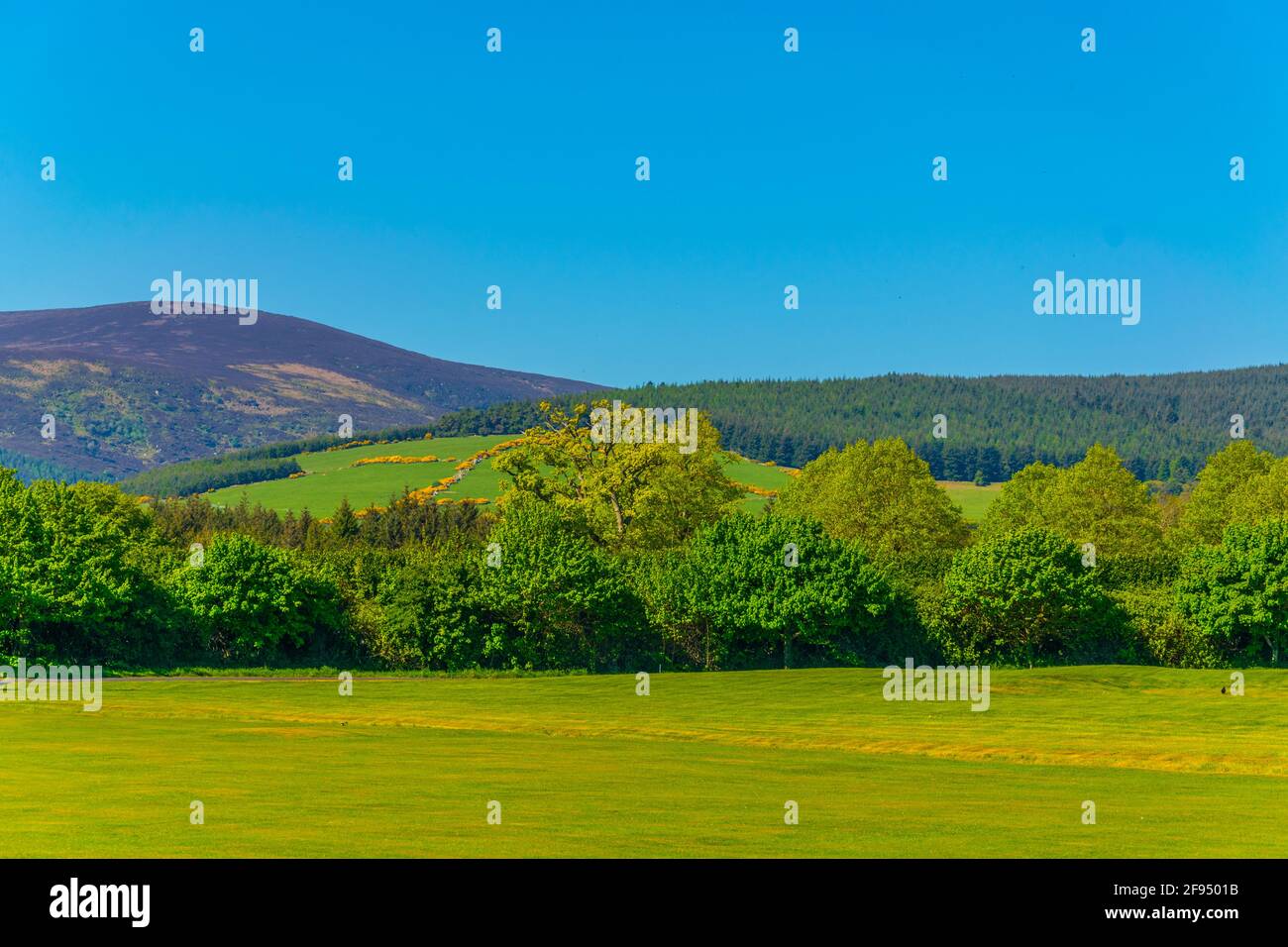 The irish countryside hi-res stock photography and images - Alamy