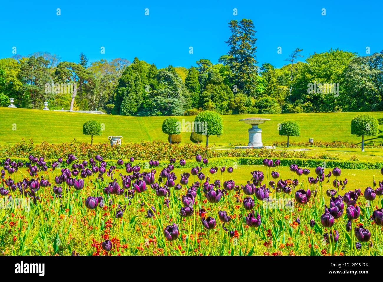 Gardens of the Powerscourt estate in Ireland Stock Photo - Alamy