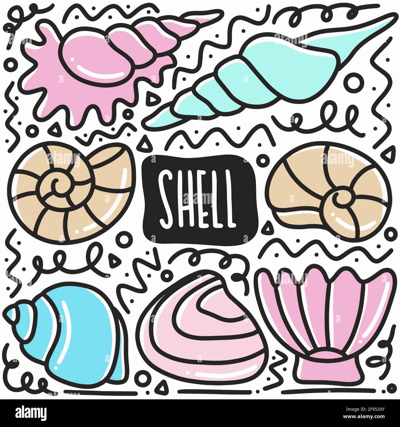 hand drawn shells doodle set Stock Vector Image & Art - Alamy