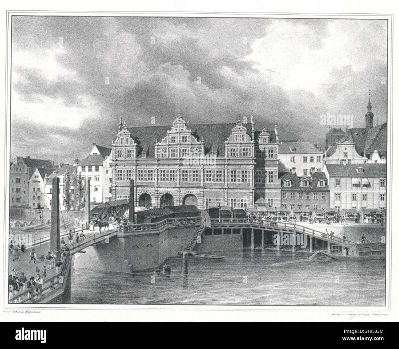 Green features Cut Out Stock Images & Pictures - Alamy