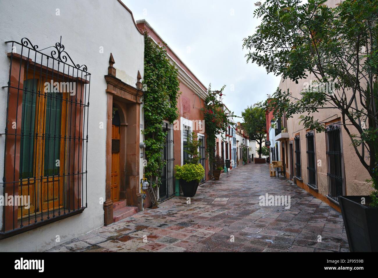 Colonial buildings with colorful stucco wall facades on the cobblestone ...