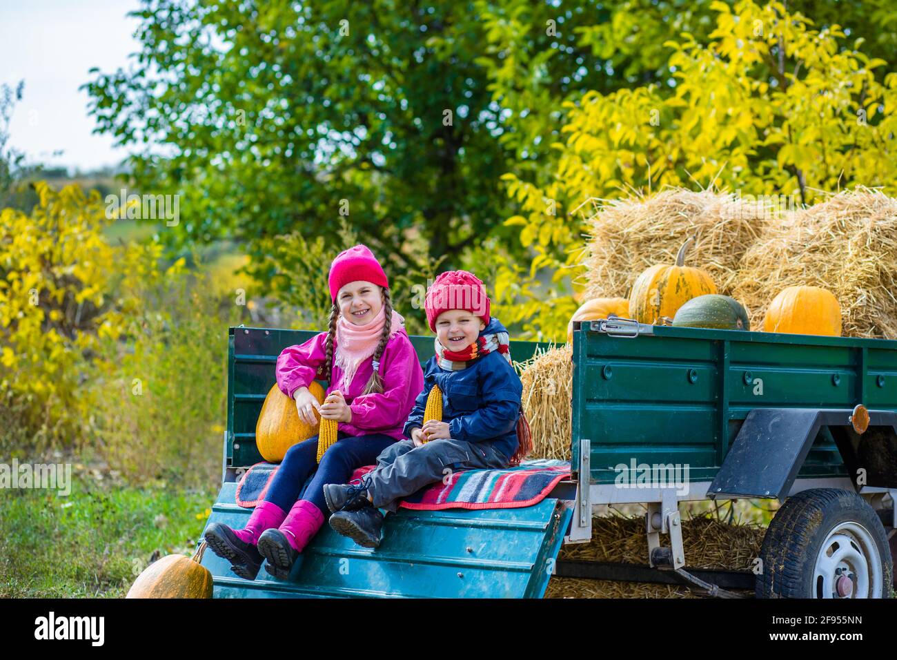 Group of little children enjoying harvest festival celebration at pumpkin patch. Kids picking ...