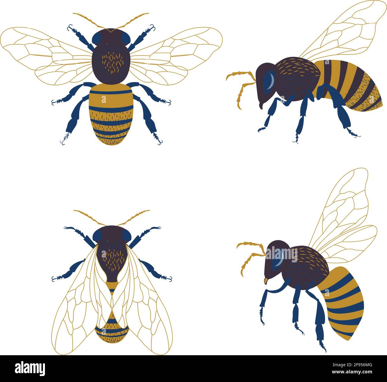 Honeybee clipart collection Stock Vector Image & Art - Alamy