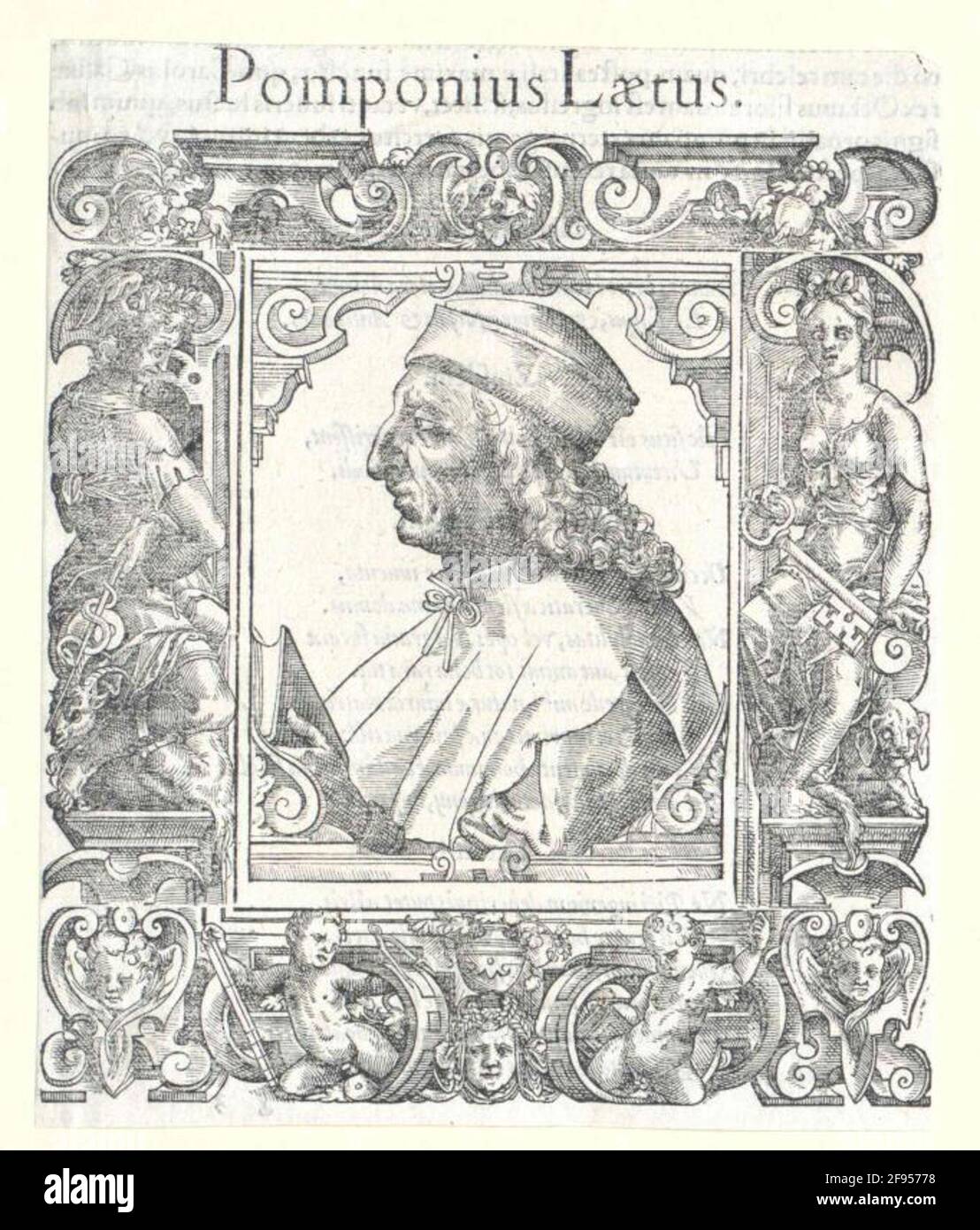 Pomponius High Resolution Stock Photography and Images - Alamy