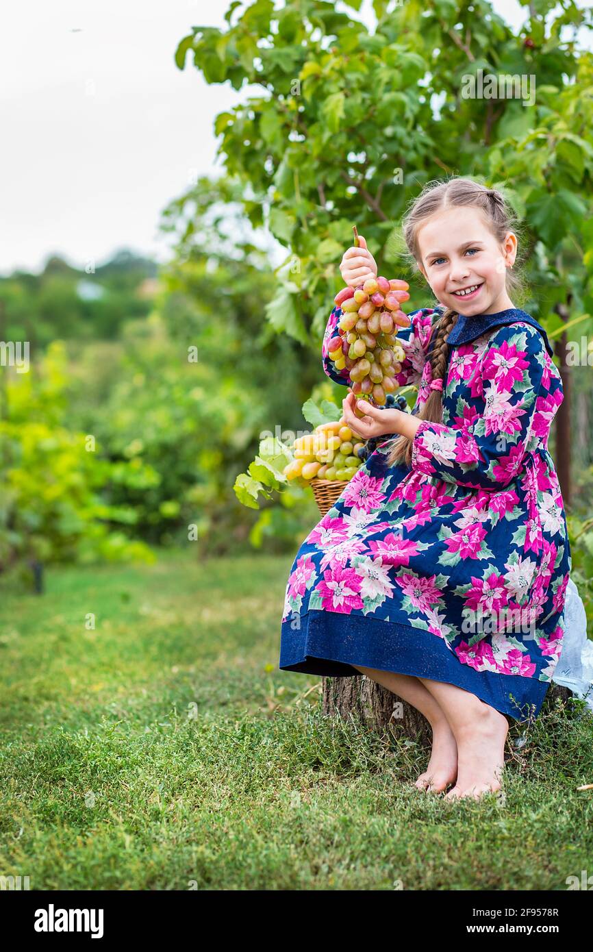Little girl with grapes in the garden. Happy cute baby eating grapes ...