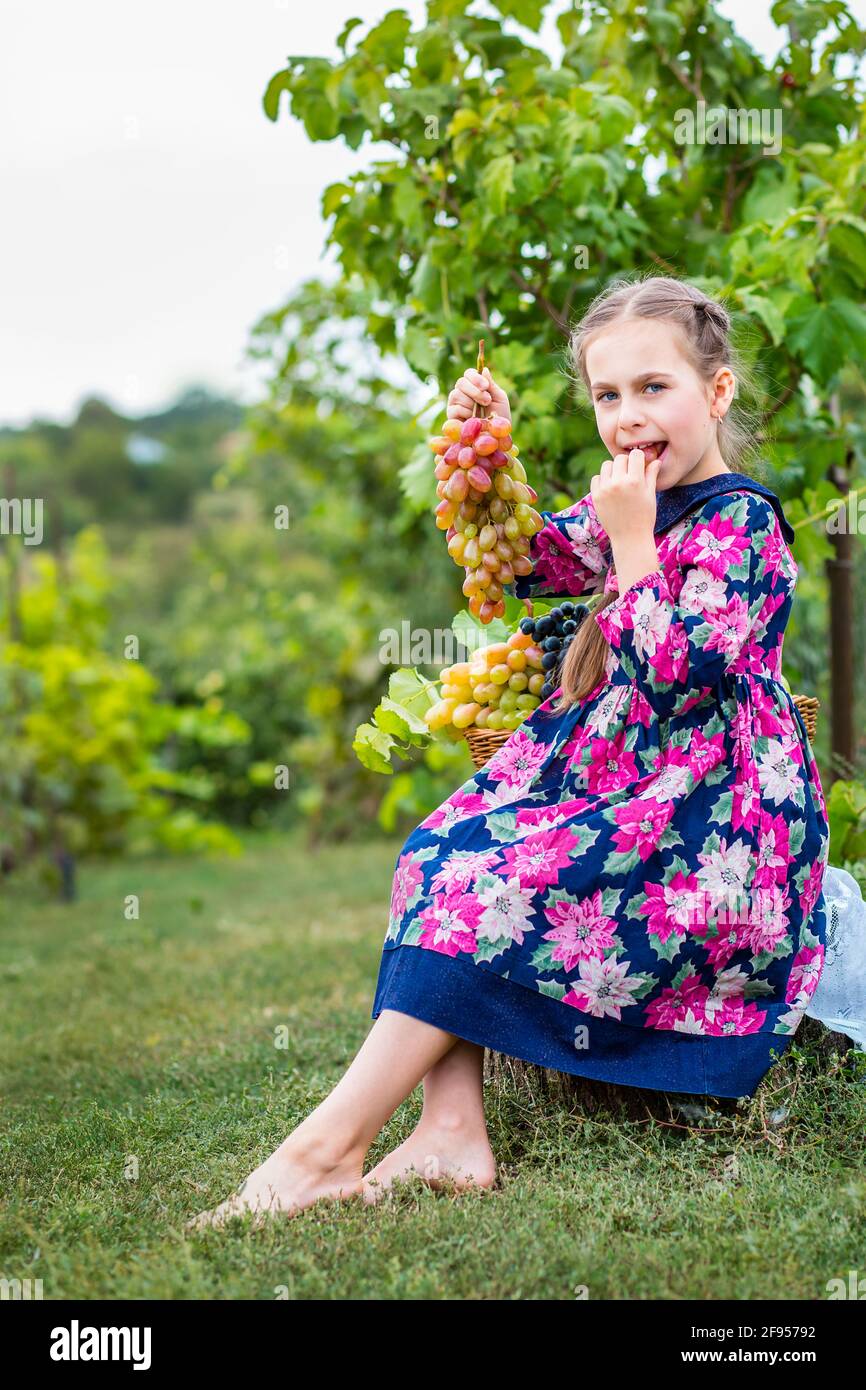 Little girl with grapes in the garden. Happy cute baby eating grapes ...