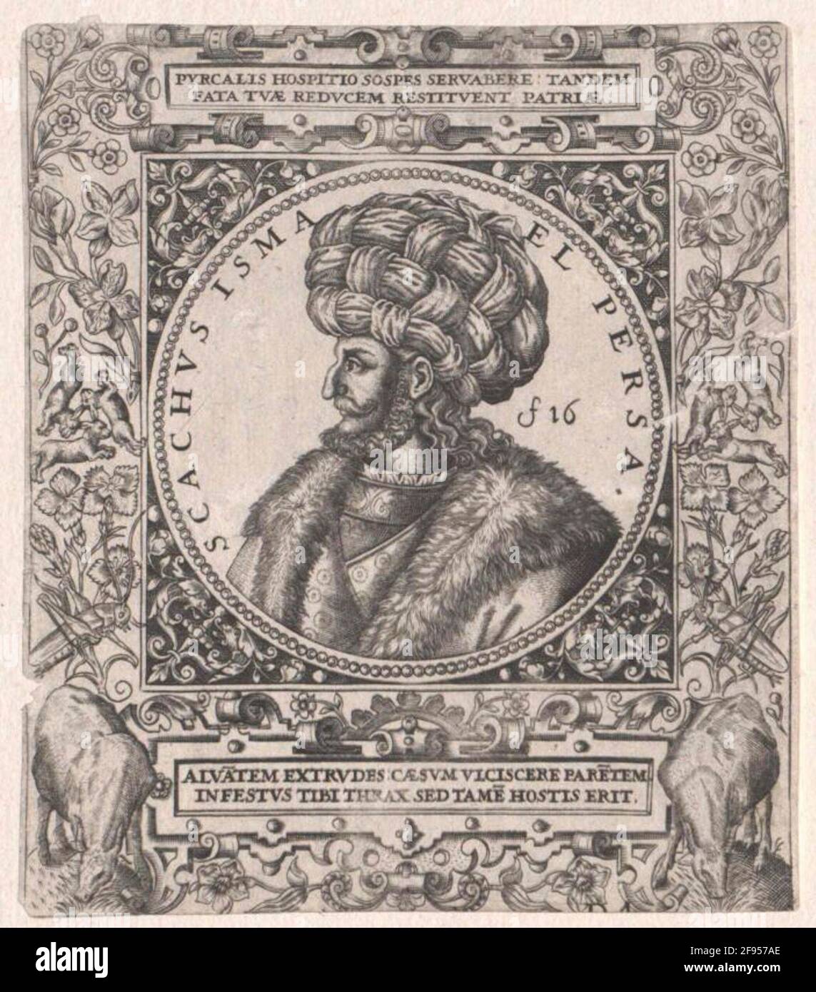 Ismail I, Shah of Persia (1480-1524 Stock Photo - Alamy