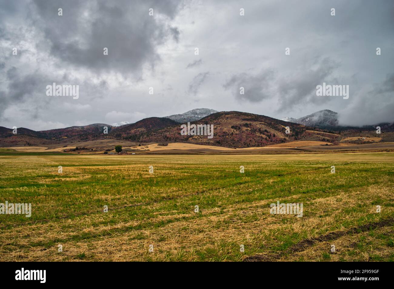 Dry filed under cloudy sky Stock Photo - Alamy