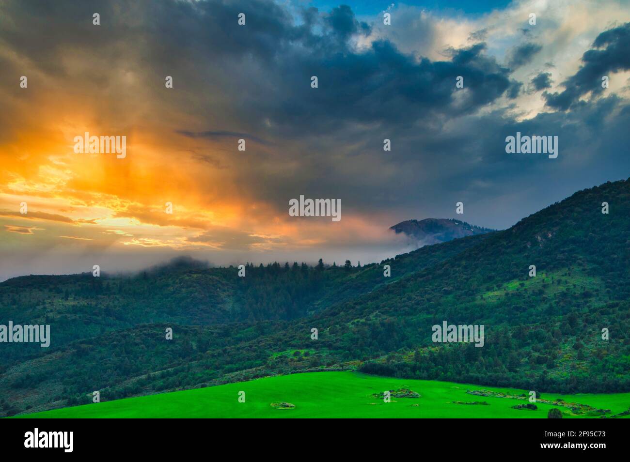 Mountain forest under sunset sky Stock Photo - Alamy