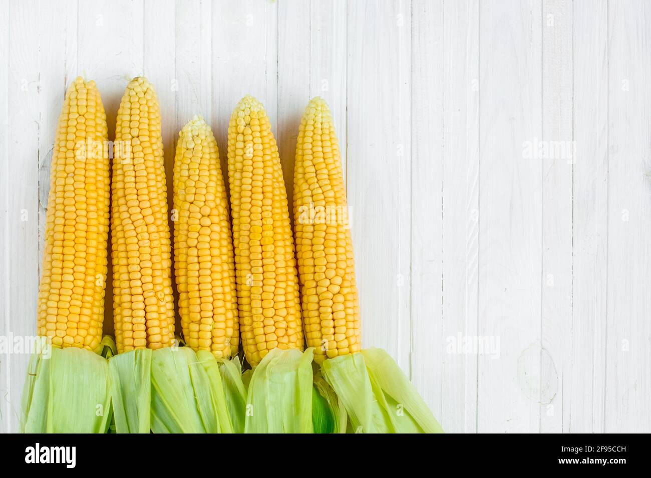 A close-up of corn produced in a rustic garden, on a white wooden ...