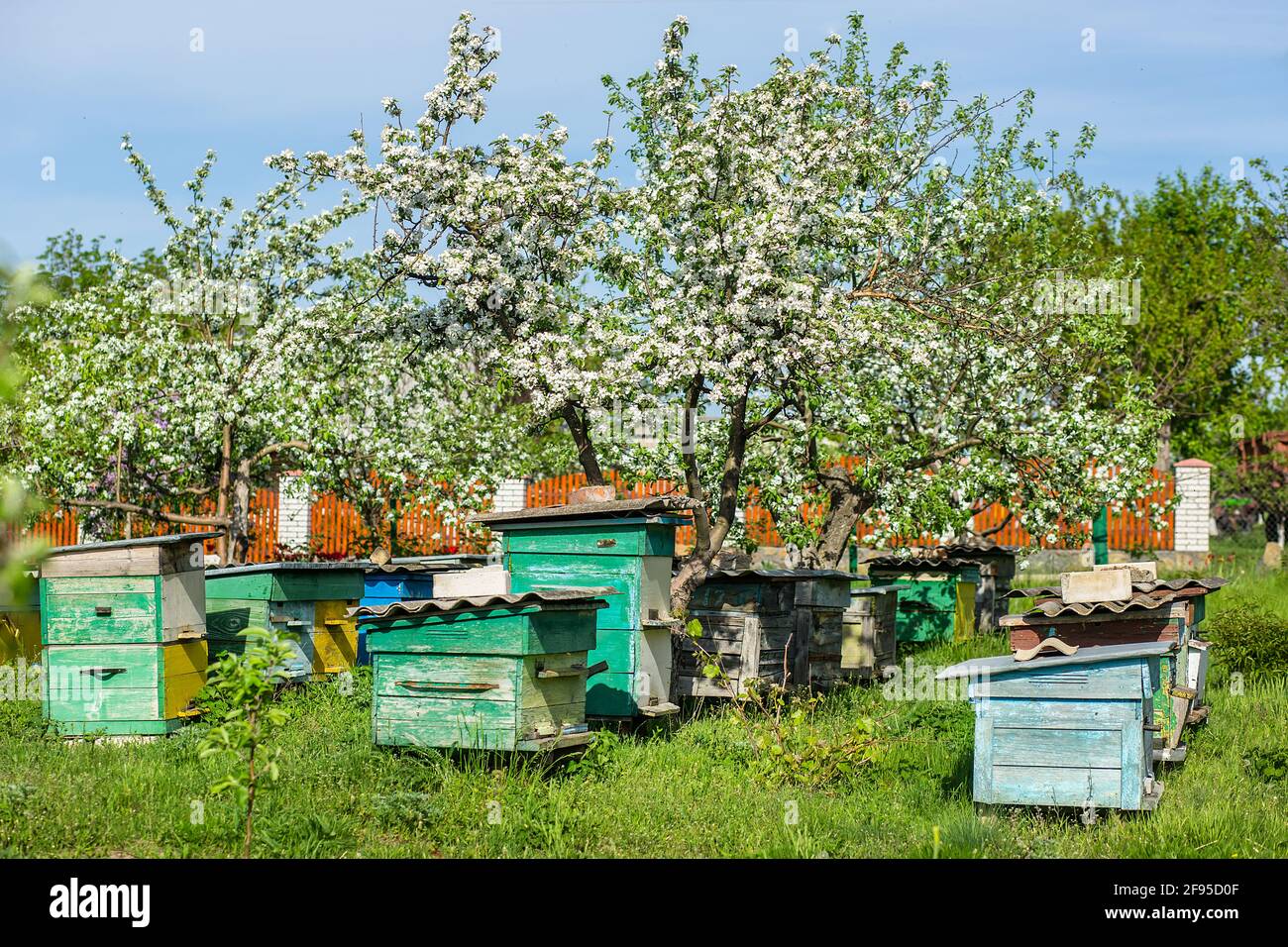Bee hive in apple orchard hi-res stock photography and images - Alamy