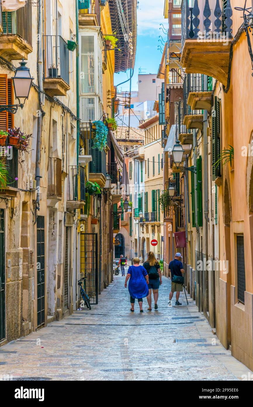 View of a narrow street in the historical center of Palma de Mallorca ...