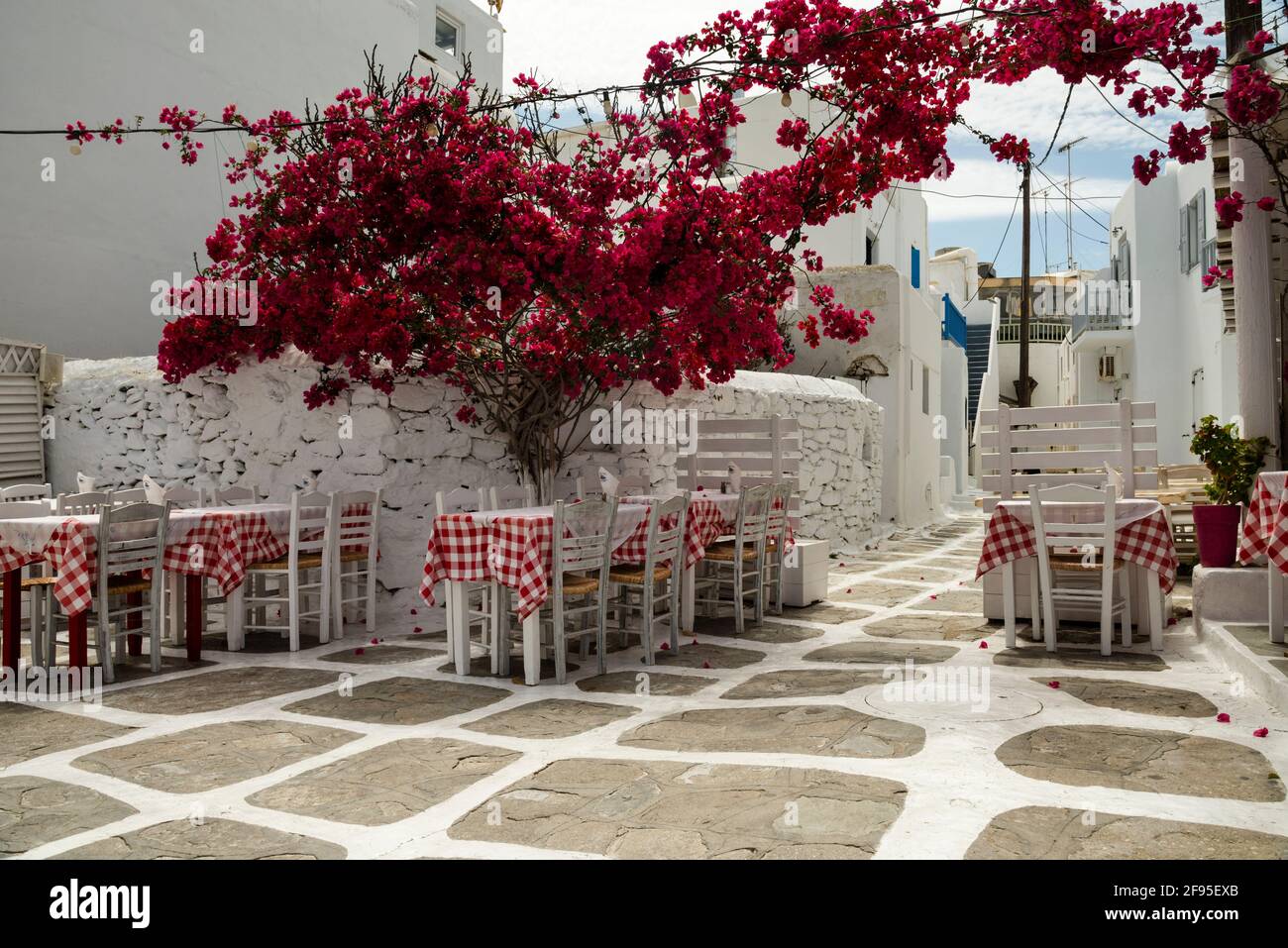 Red checkerboard table cloths, woven rush seats and Bougainvillea in ...