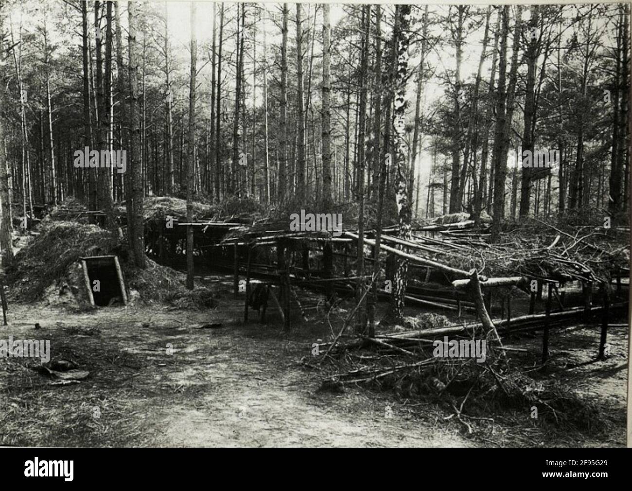 Russian cavalry warehouse in the forest north of Widuch Stock Photo - Alamy