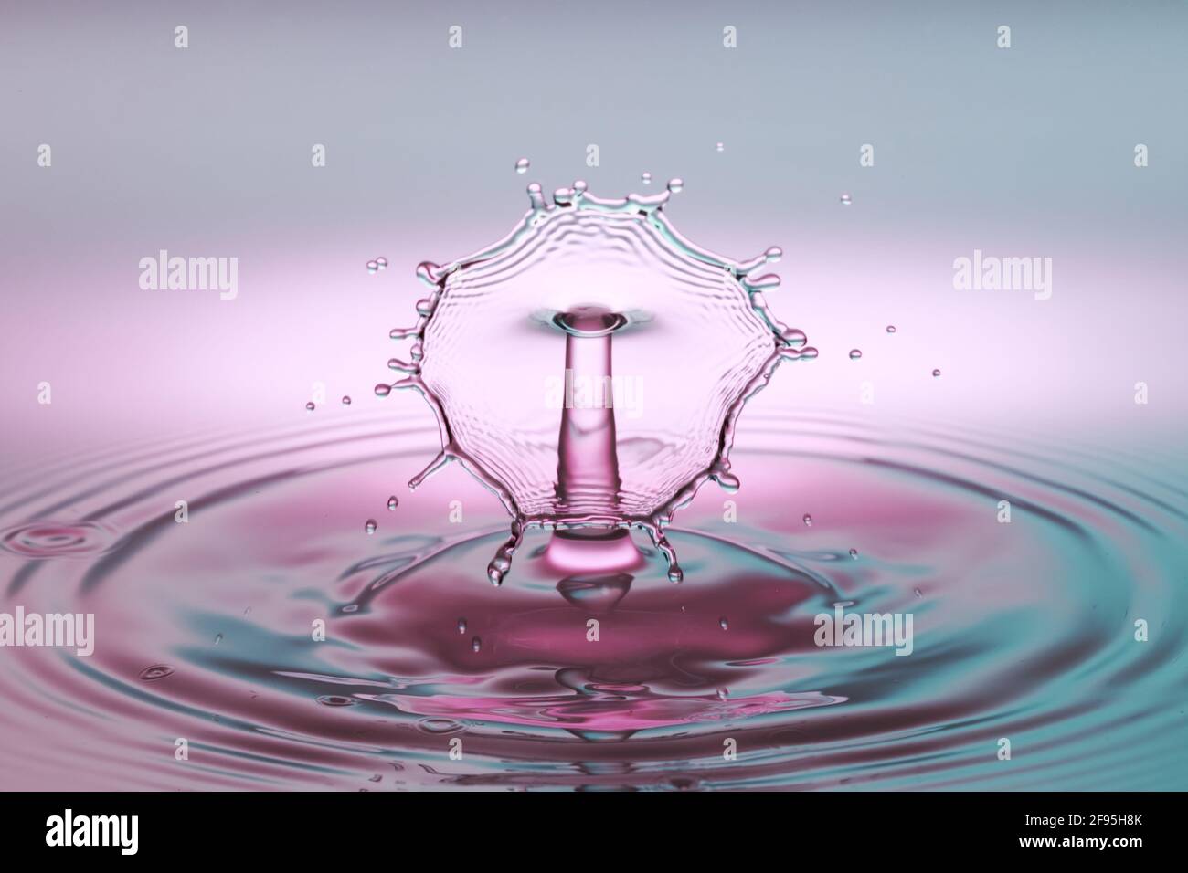 Collision ripple splash of two drops falling into the water Stock Photo ...