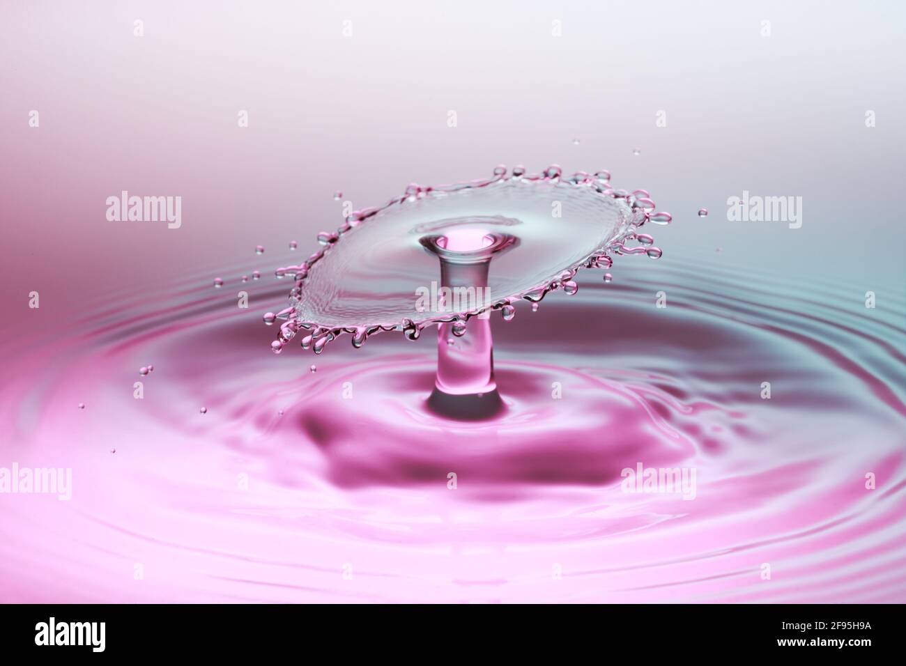 Y collision hi-res stock photography and images - Alamy