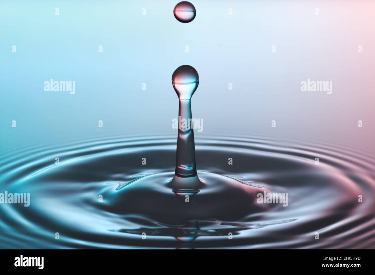 Splash and ripple on the clear water surface liquid from a falling drop ...
