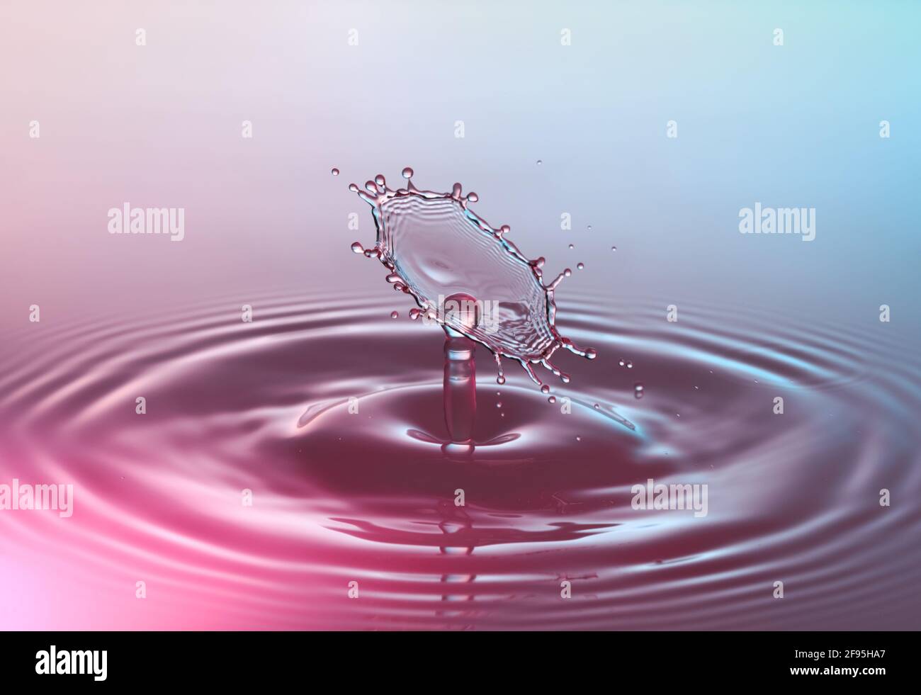 Collision ripple splash of two drops falling into the water Stock Photo ...