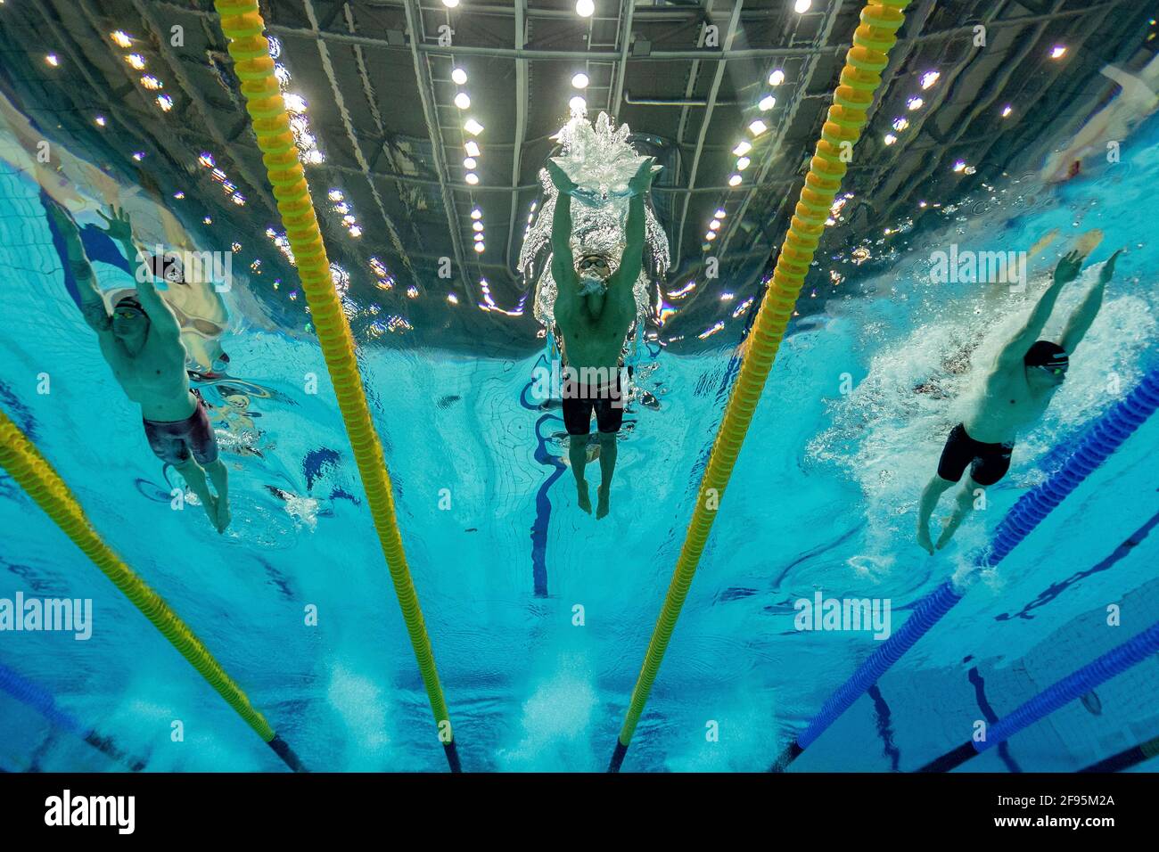 Berlin, Germany. 16th Apr, 2021. Swimming, Olympic qualification, pool ...