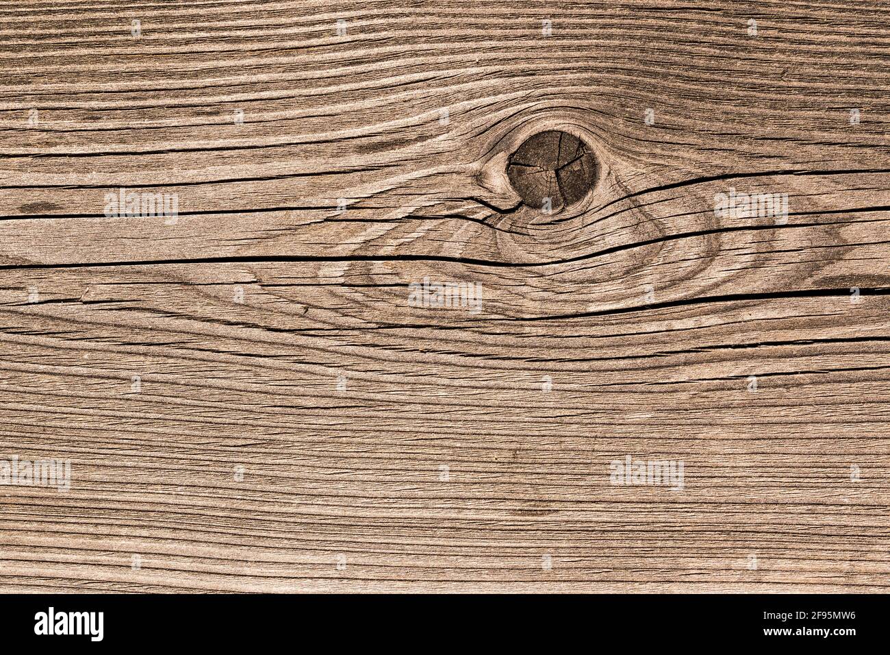 Background and texture of weathered Siberian larch wood with knothole ...