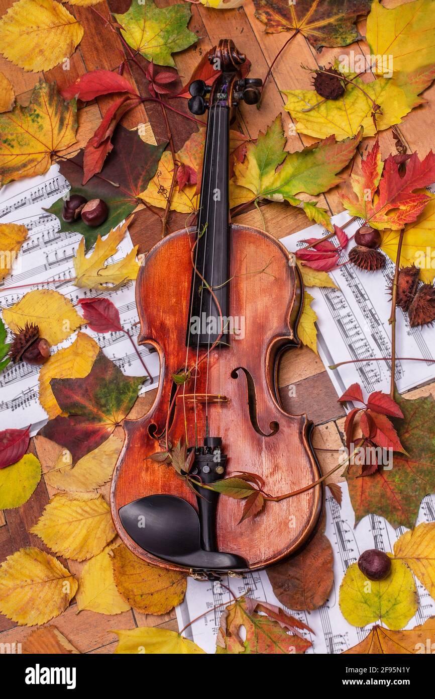 violin and notes of autumn leaves chestnuts Stock Photo - Alamy