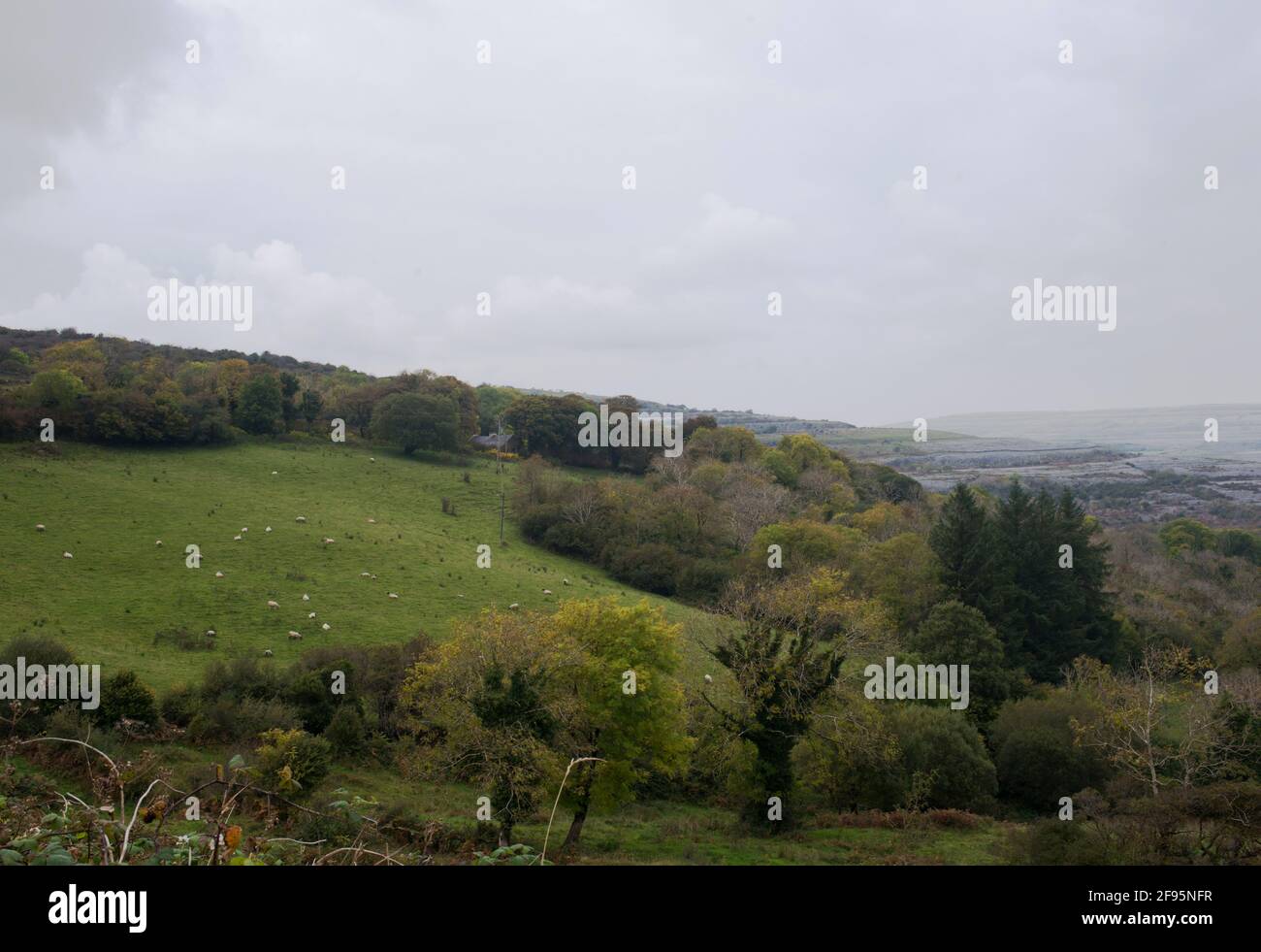 Beautiful irish landscape hi-res stock photography and images - Alamy