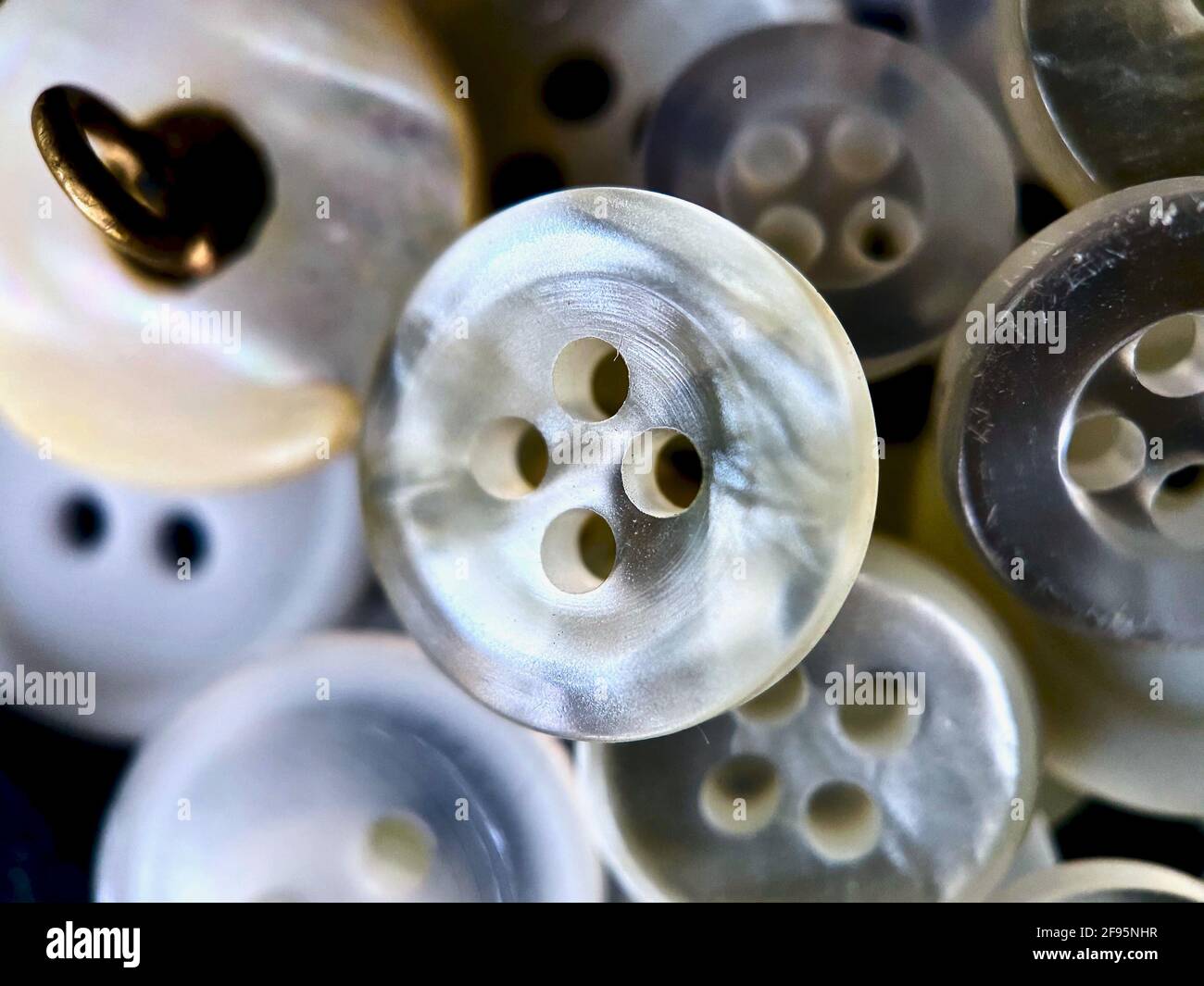 White, off-white and cream antique or vintage sewing buttons: Celluloid ...