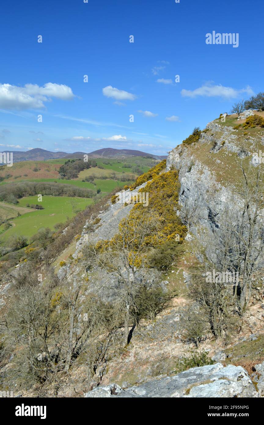 Views of Llantysilio mountain from Panorama, Llangollen Stock Photo - Alamy