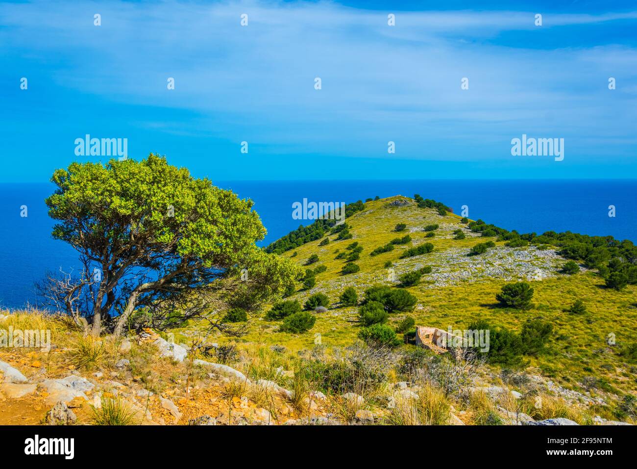 Majorca cap vermell hi-res stock photography and images - Alamy