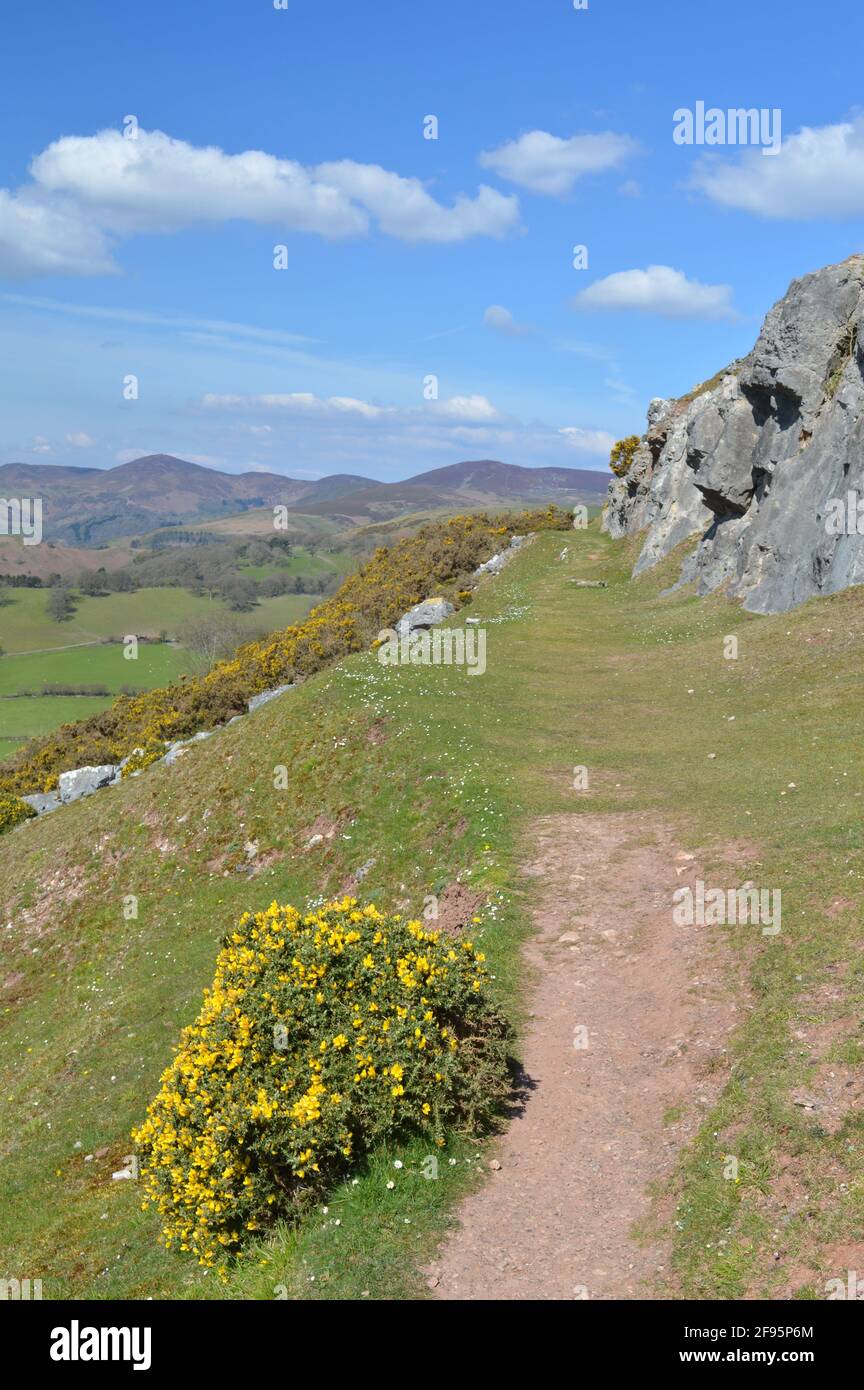 Panorama path, Llangollen Stock Photo - Alamy
