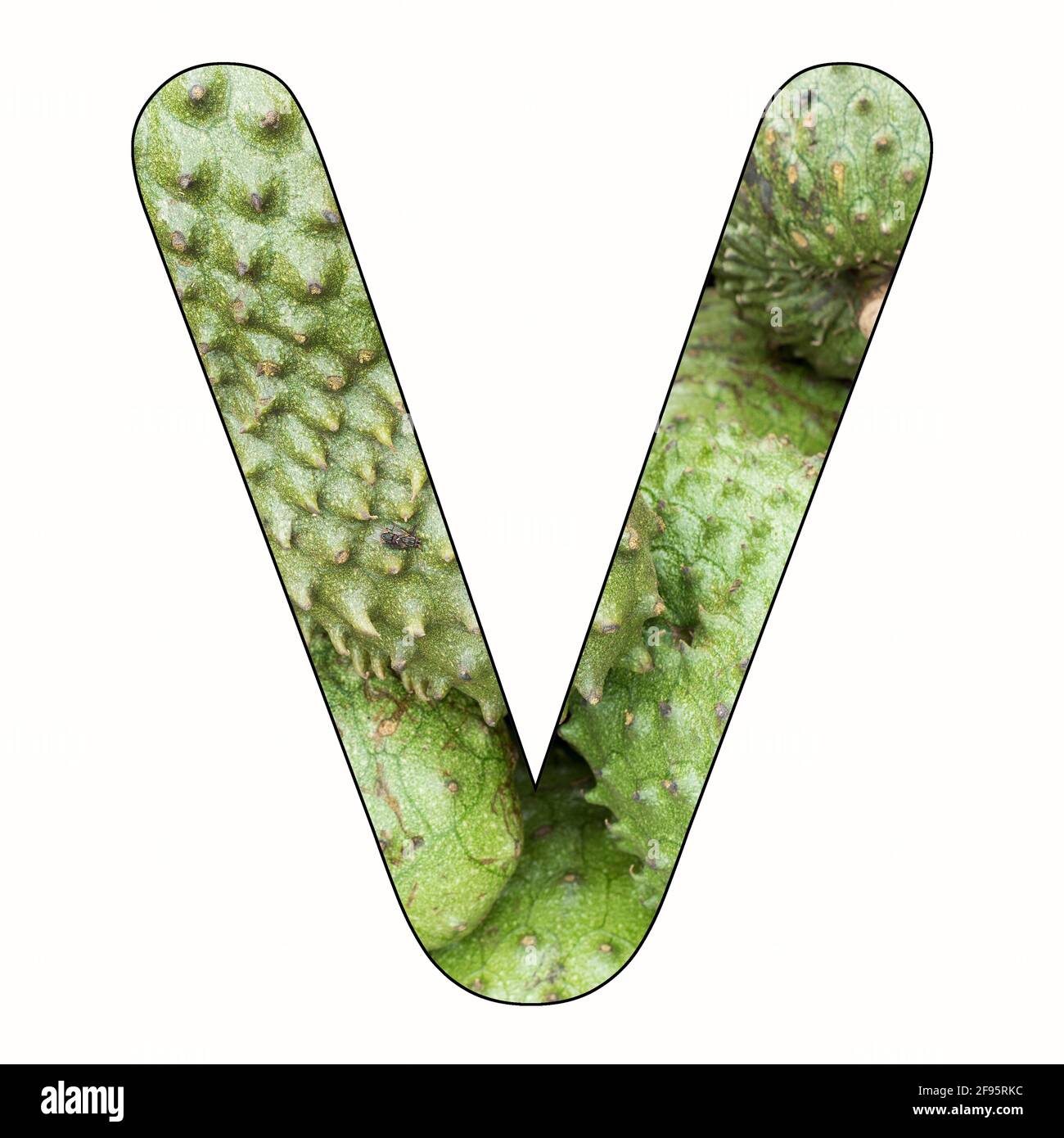 Letter V of the alphabet with fruit background Stock Photo - Alamy