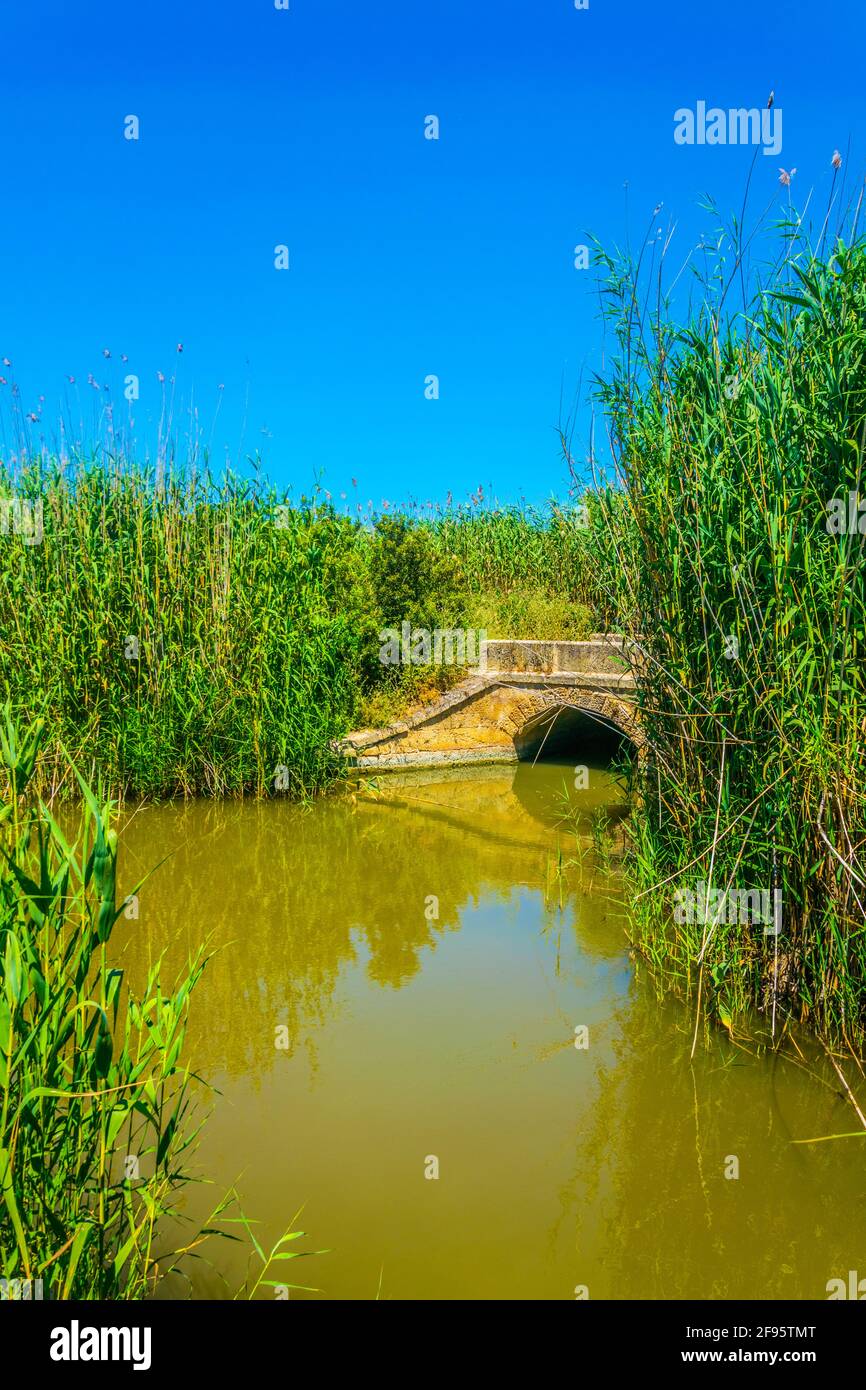 Marshes of Albufera national park at Mallorca, Spain Stock Photo - Alamy